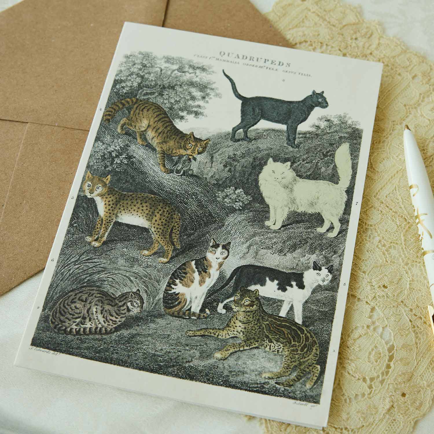 Cats Greeting Card | Catbird NYC